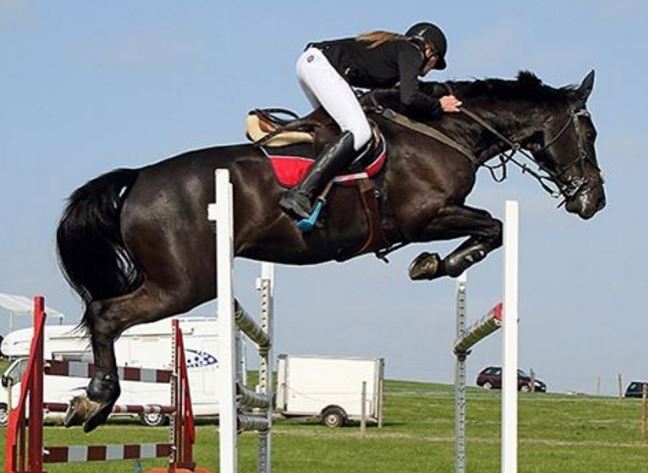 Back at the Barn with Kentucky Performance Products: My Oxer Brings All ...