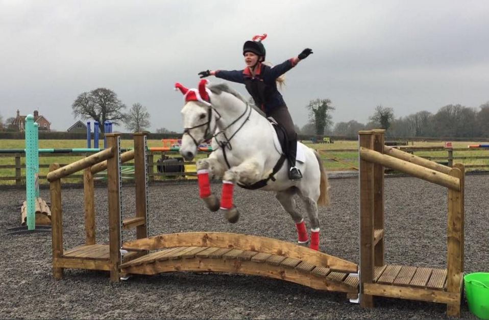 Very Holiday Hunter Jumpers: Back at the Barn with Kentucky Performance ...