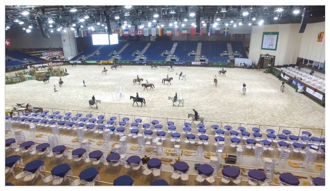 How 20 FEI Riders Share an Arena - Jumper Nation