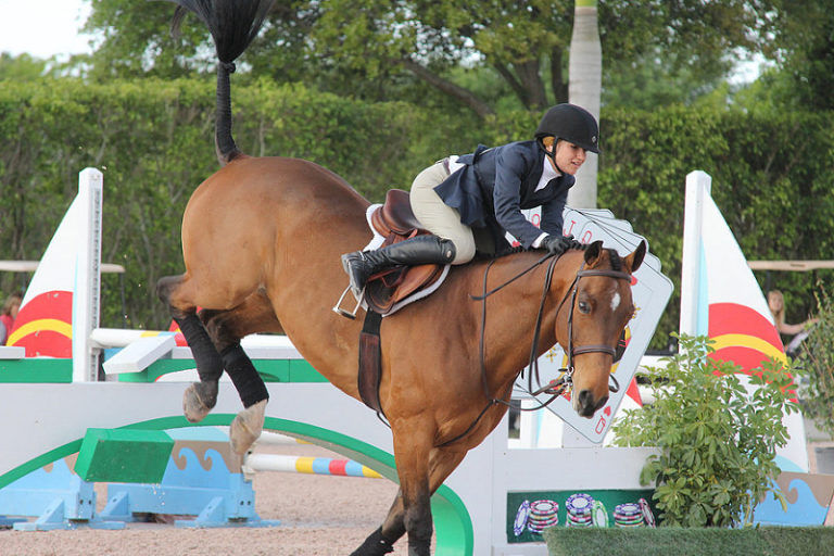 Best of JN: Lines in 5-7-5 If Your Horse Can’t Even | HORSE NATION