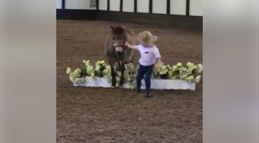 McLain Ward's Daughter Lilly Completes First "Course" with Daisy ...