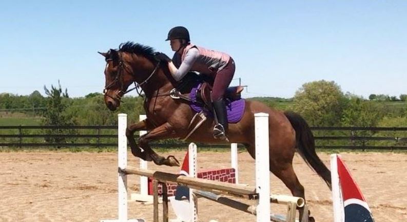 Riding for George Morris Part 1: Living On a Prayer - Jumper Nation