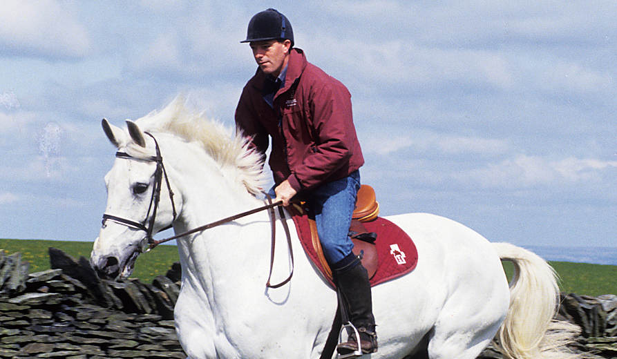 7 Training and Management Tips from British Olympian John Whitaker ...