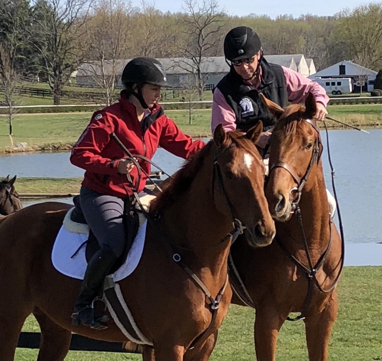 So You Want to Get an OTTB, Part II: The First Few Dates - Jumper Nation