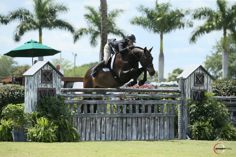 El Primero is Number One Again with Victoria Colvin in WEF's $50K USHJA ...