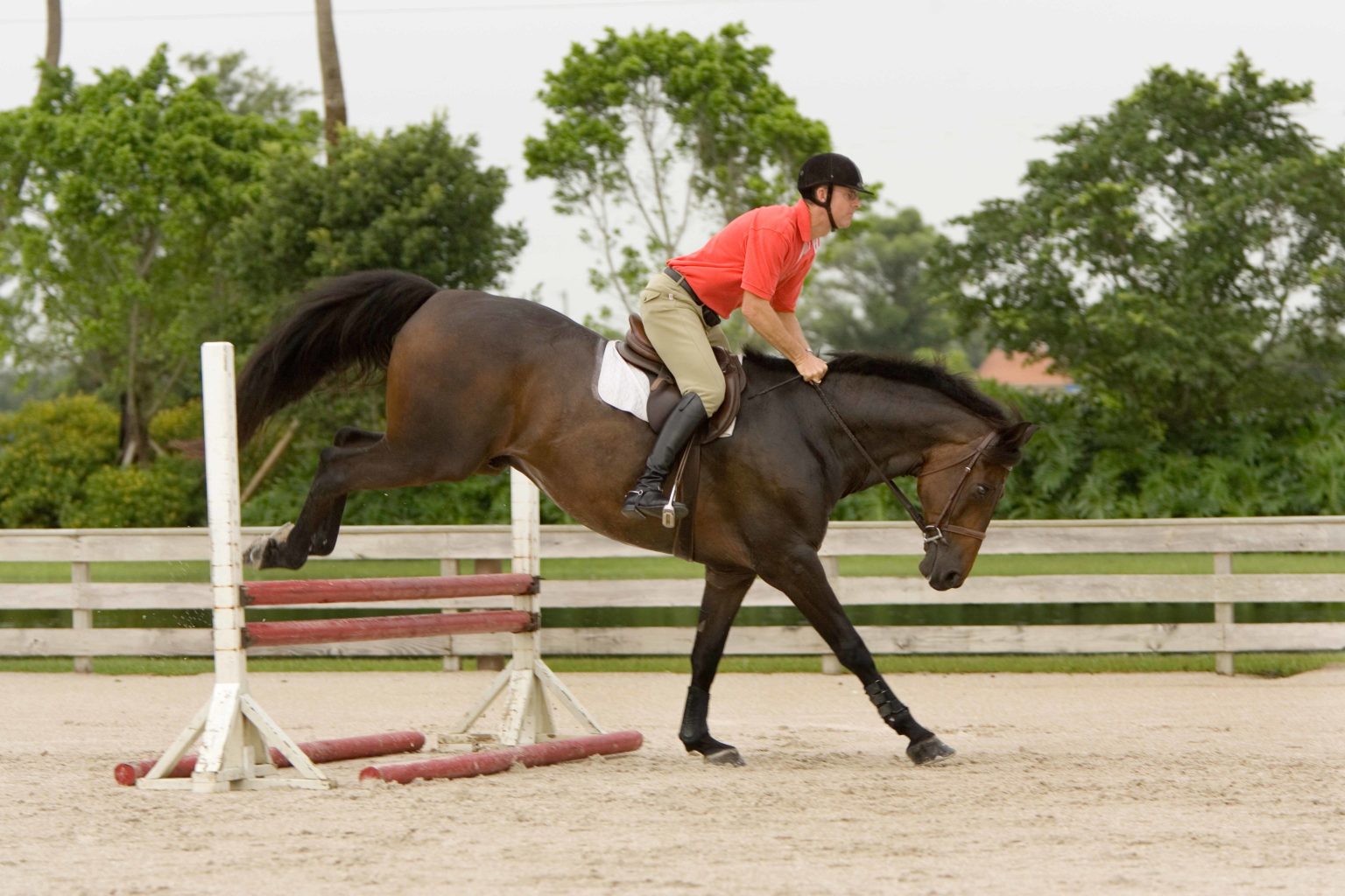 Book Excerpt: Hands and Arms - Fine-Tuning Your Feel Over Fences ...