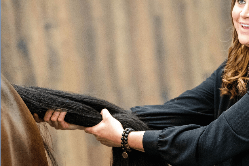 Tutorial: Tail Stretches with Unbridled Equine - Jumper Nation