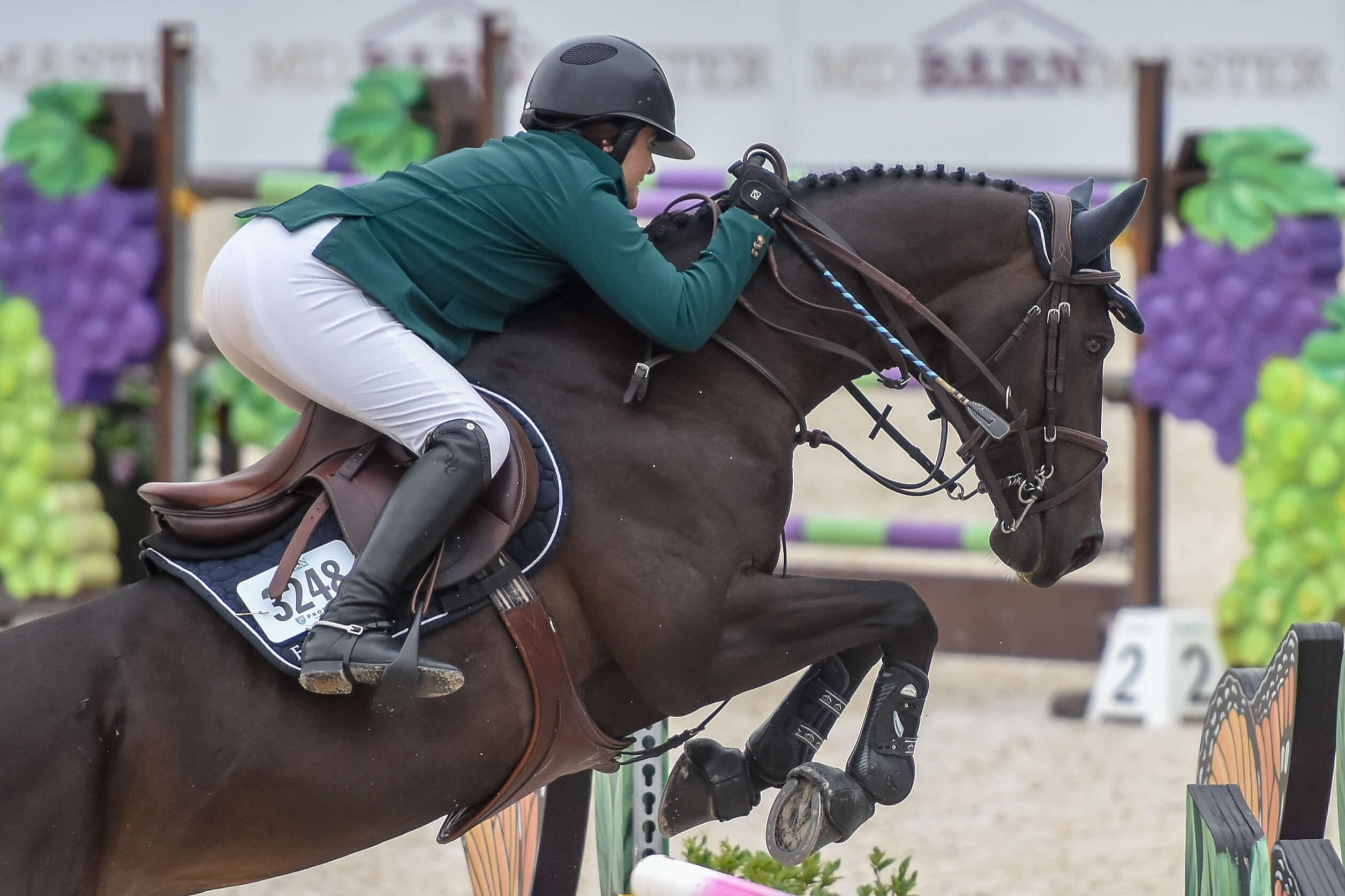 Victoria Colvin and Gemino Grab $30K Sunday Jumper Classic Win at Tryon ...