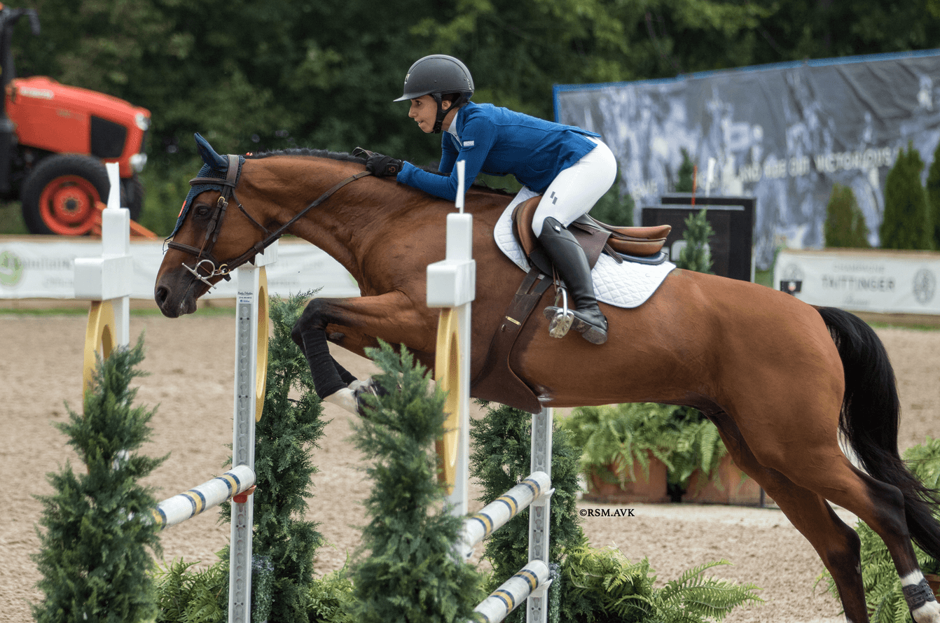 3 Core Exercises to Improve Rider Balance & Position - Jumper Nation