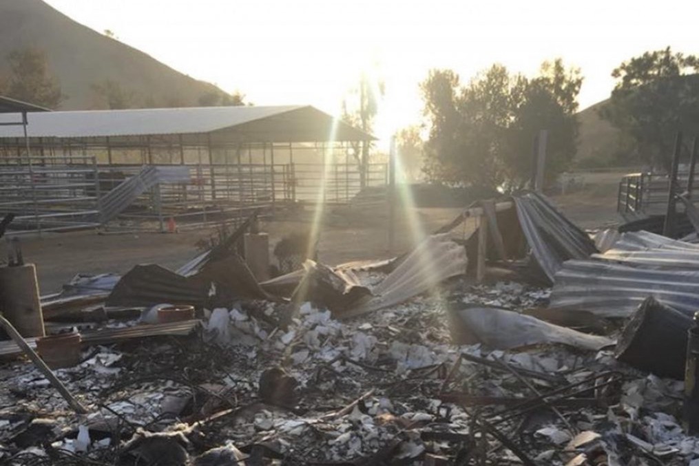 Horses, Fire and Evacuation in Los Angeles - Jumper Nation