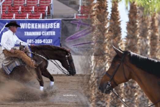 New Joint Hunter/Jumper & Reining Events to be Held at Desert ...
