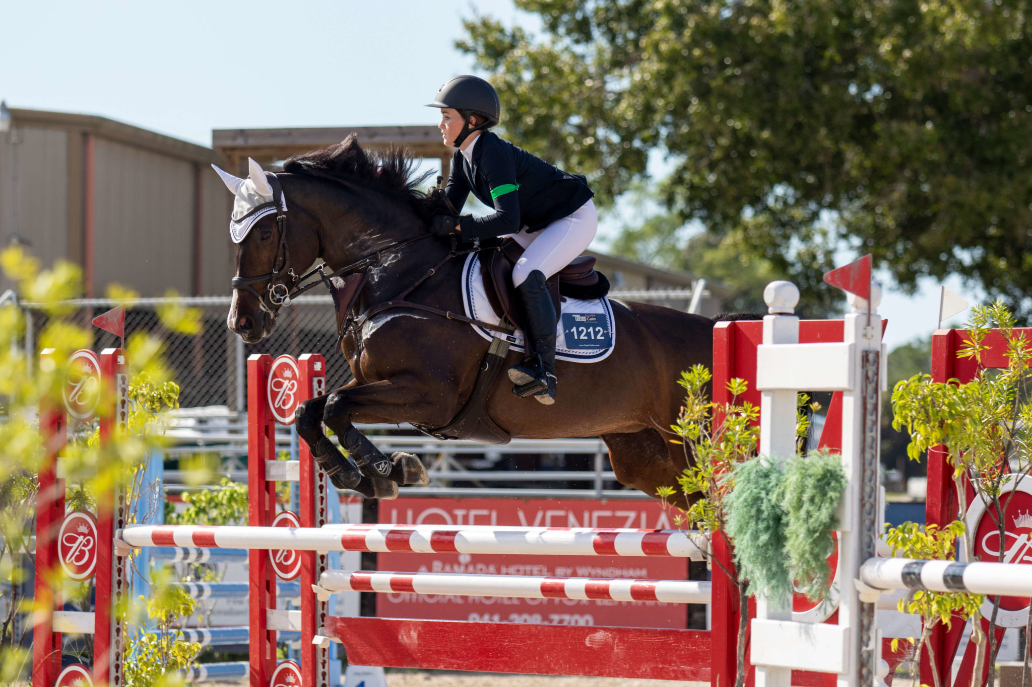 Postcard from Fox Lea Farm - Jumper Nation