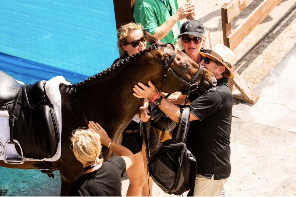 Connecting Quality Coaches with Riders—A New Program to Increase Clinic ...