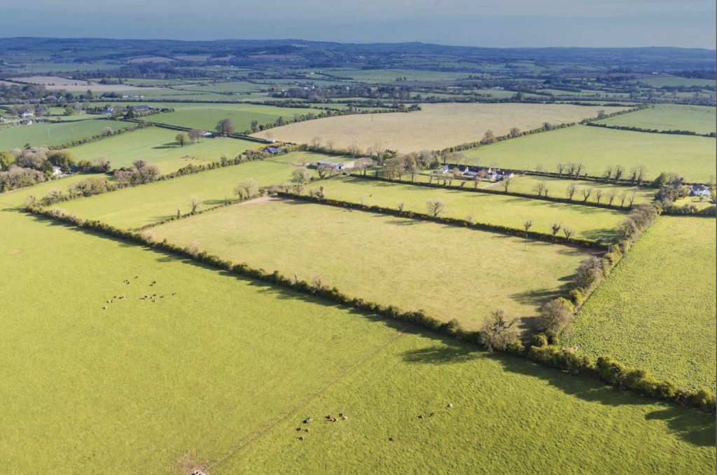 Irish Dream Farm presented by Stable View - Jumper Nation